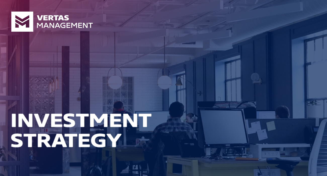 Investment Strategy, Types of Investments | Vertas Management