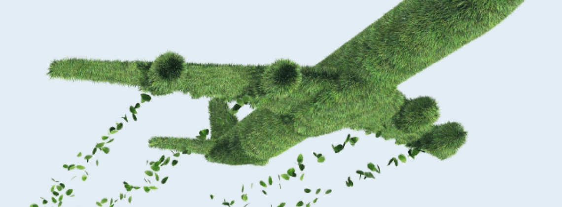 Green Flying: is it possible to implement?