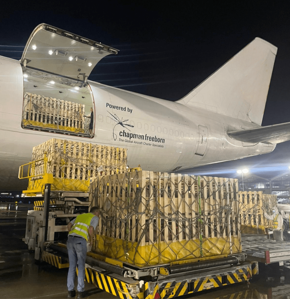 Intradco Global completes live animal air transport of 1,200 breeding pigs